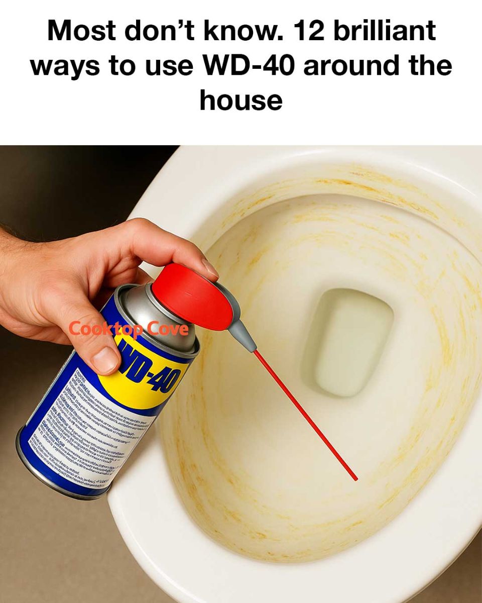 Most don’t know. 12 brilliant ways to use WD-40 around the house – Best ...